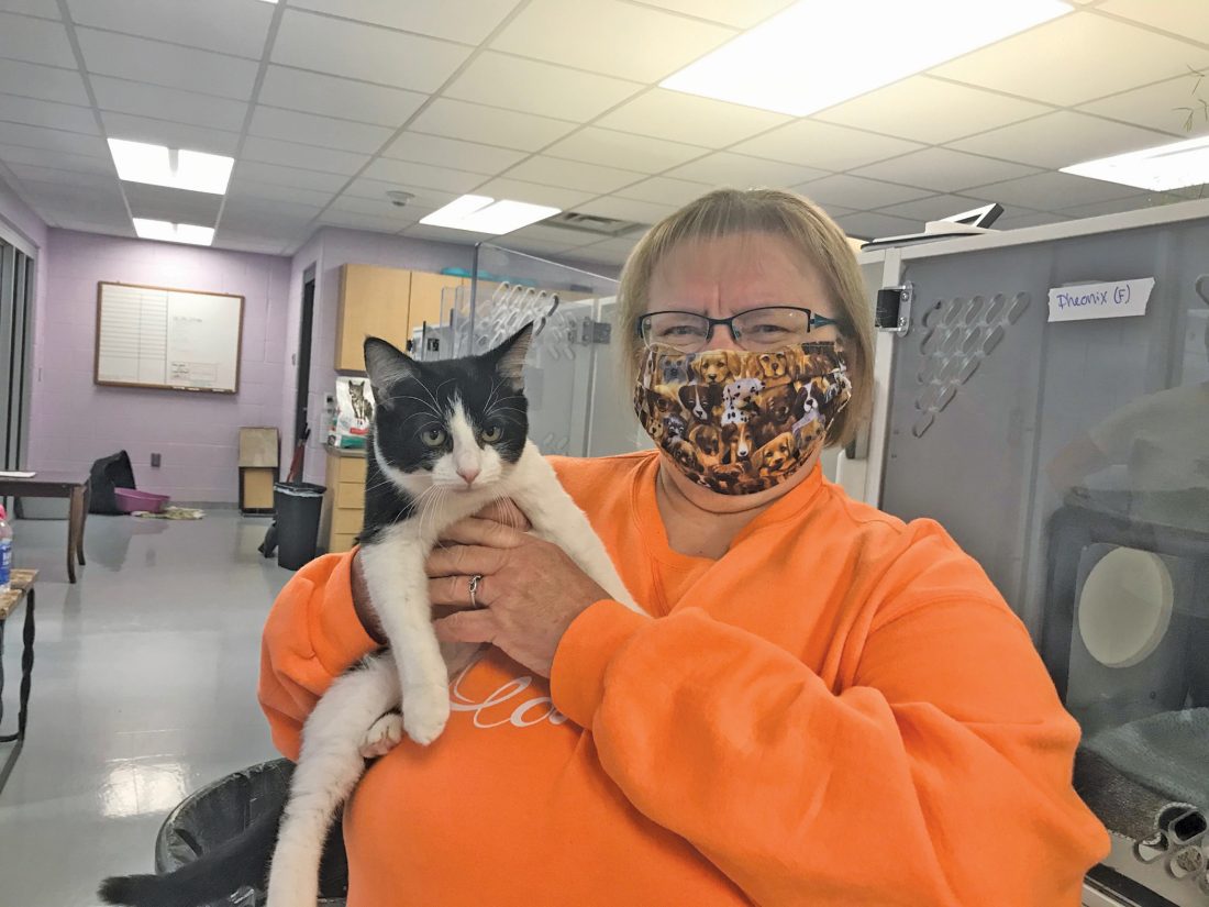 ‘RAISE THE WOOF’ | News, Sports, Jobs - The Mining Journal